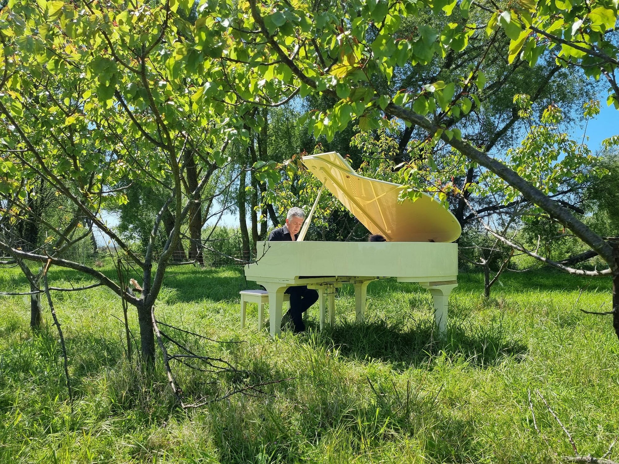 'Undergrand' With Pianist Kevin Field At Brick Bay