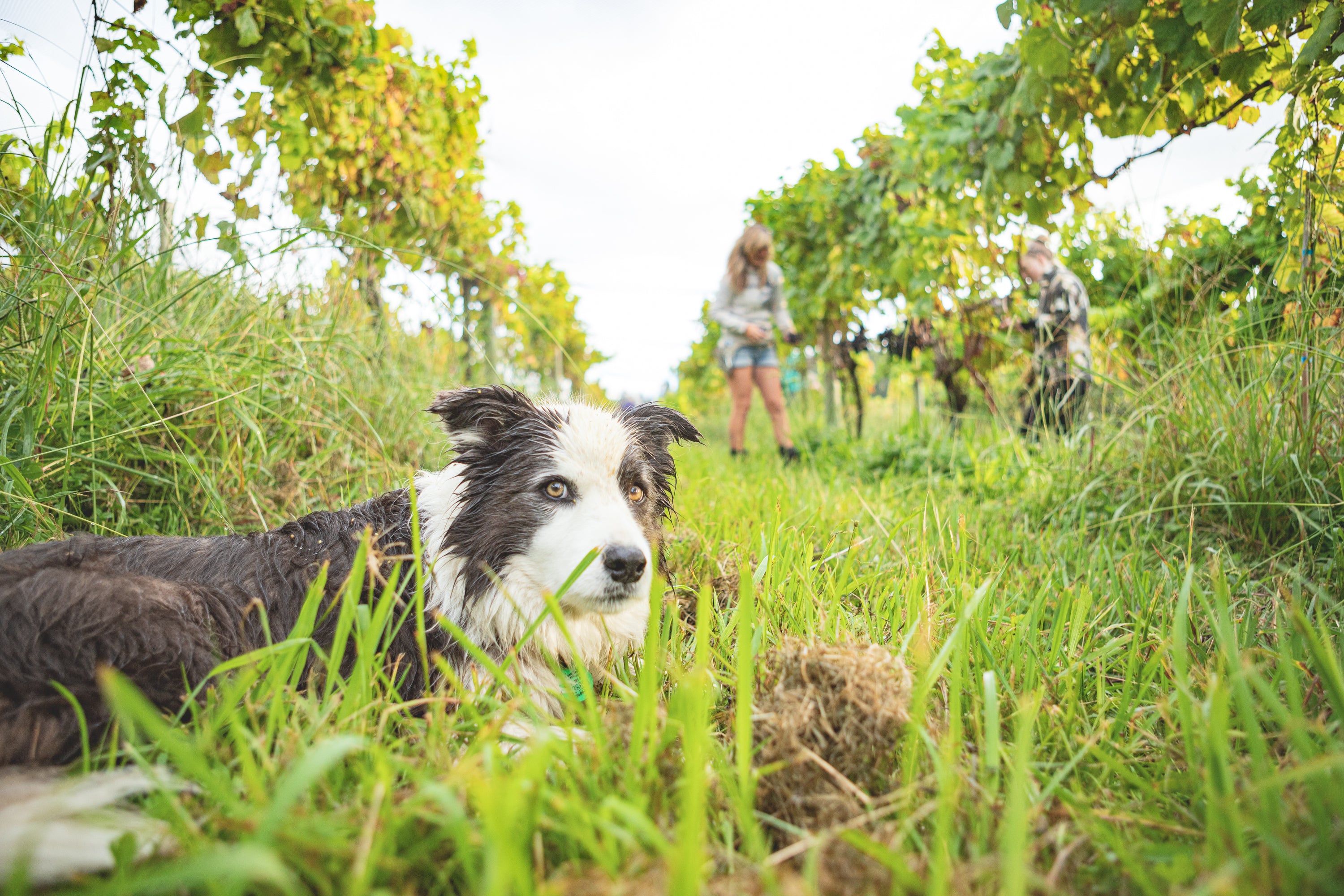 Our Spaces – Brick Bay