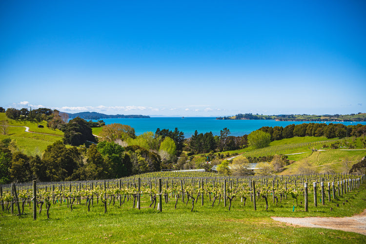 Careers – Brick Bay